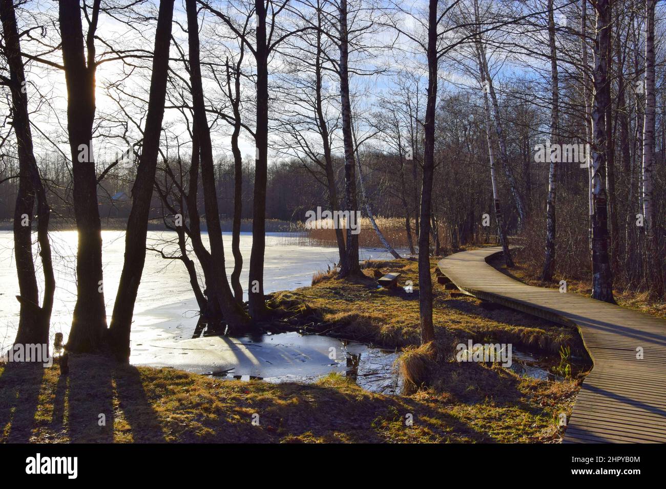 Pedestrian pathway in a forest with a frozen lake next to it Stock ...