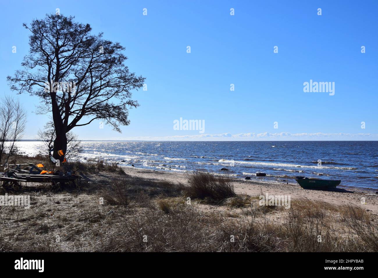 Beautiful view of the ocean and one single tree on the beach Stock ...