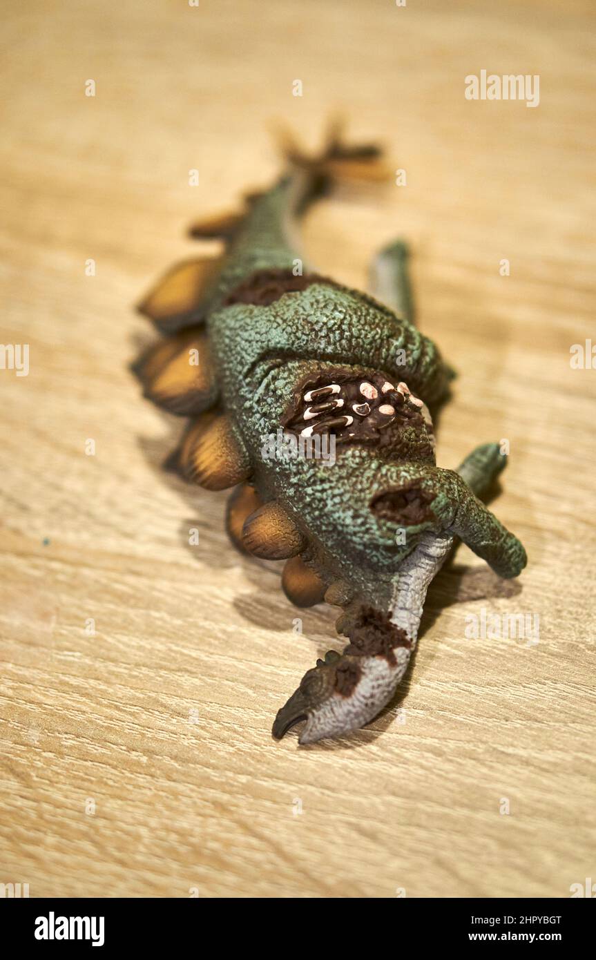 Vertical shot of the Collecta brand dead Stegosaurus with wounds ...