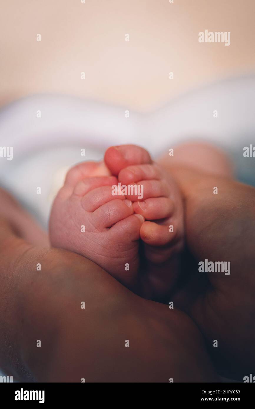 Closeup of hands holding adorable baby feet Stock Photo - Alamy