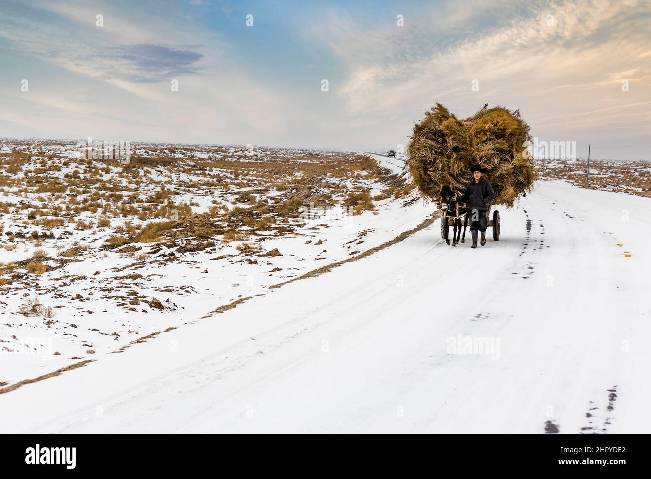 Man with a carriage pulled by donkey on a rural two-lane snowy road ...