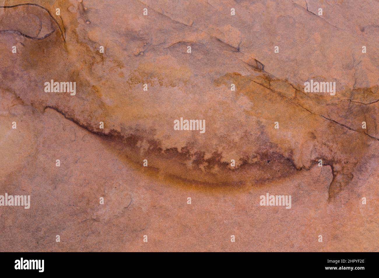 Beef basin wash hi-res stock photography and images - Alamy