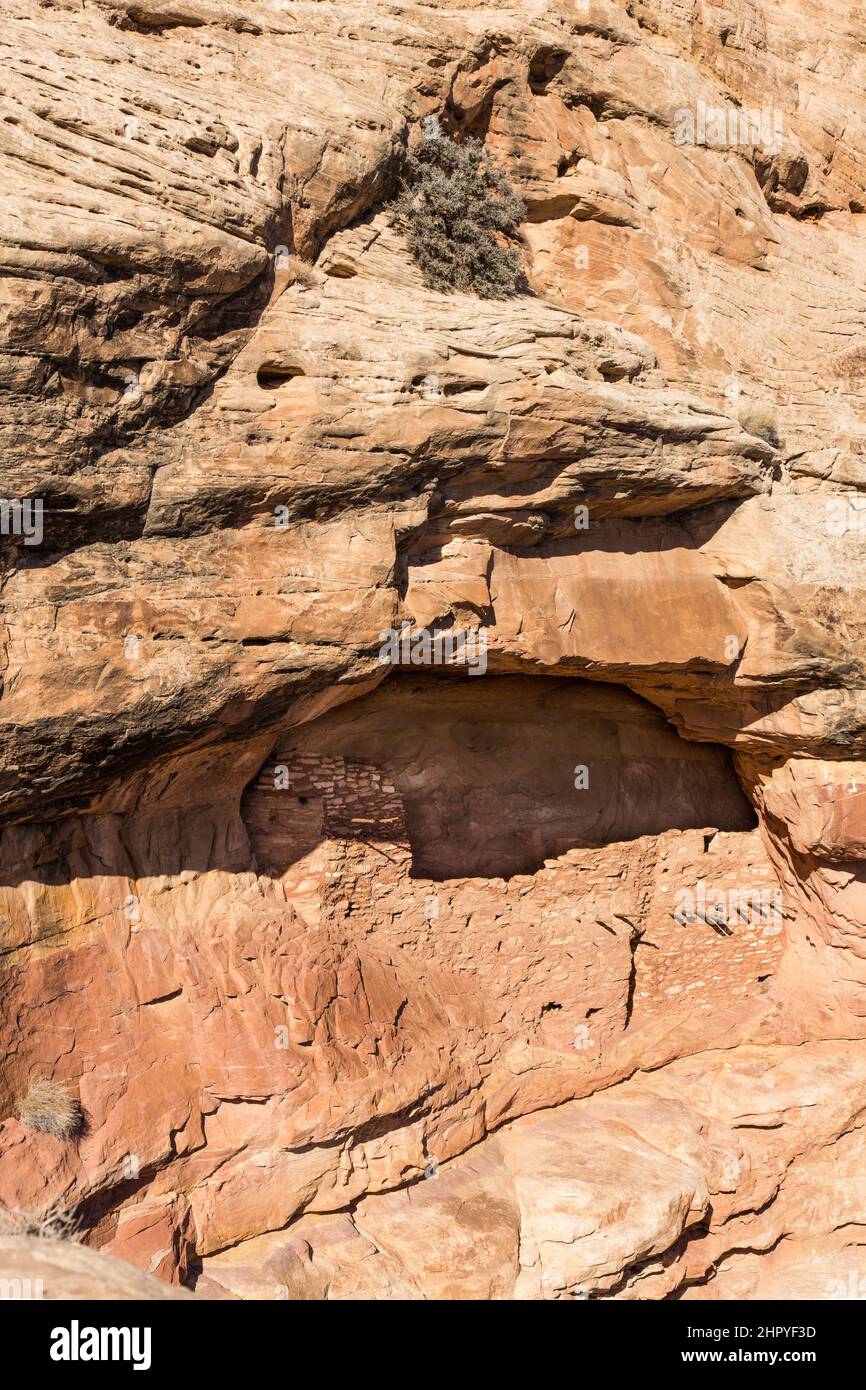 The Beef Basin Wash Ruin is an Ancestral Puebloan cliff dwelling in ...