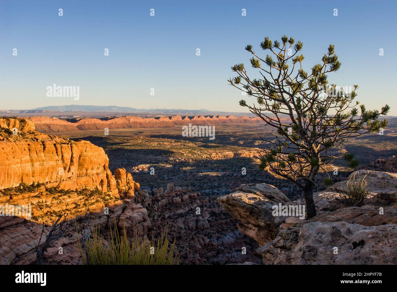 The view from Baullie Point of Comb Ridge across the eastern edge of ...