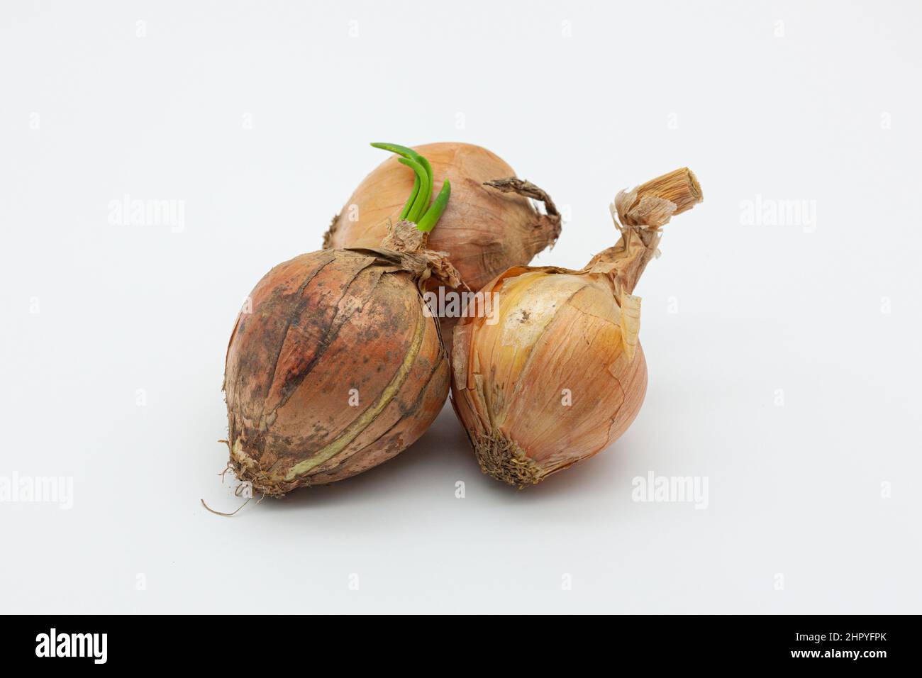 different shapes of onions Stock Photo - Alamy