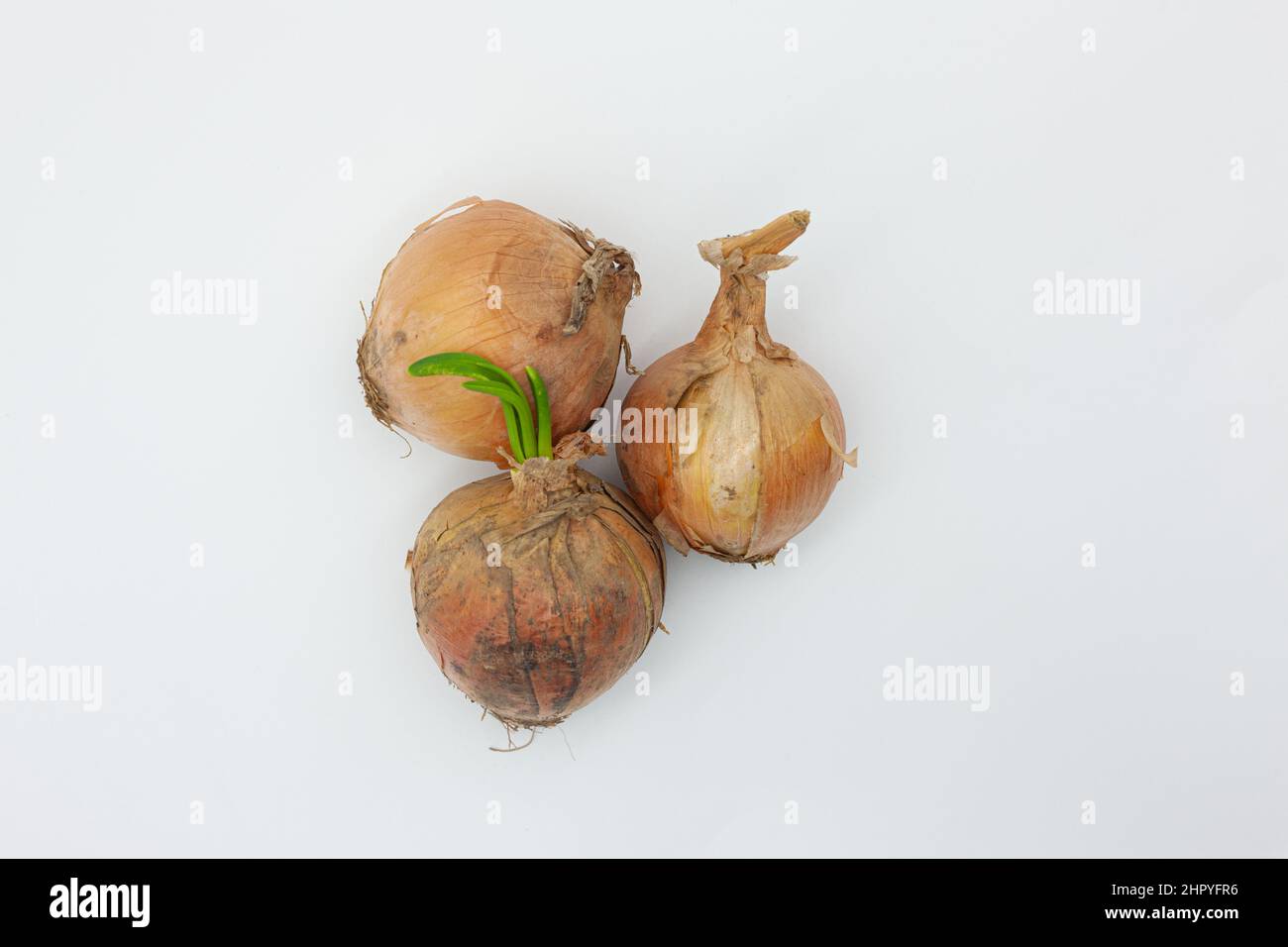 different shapes of onions Stock Photo - Alamy