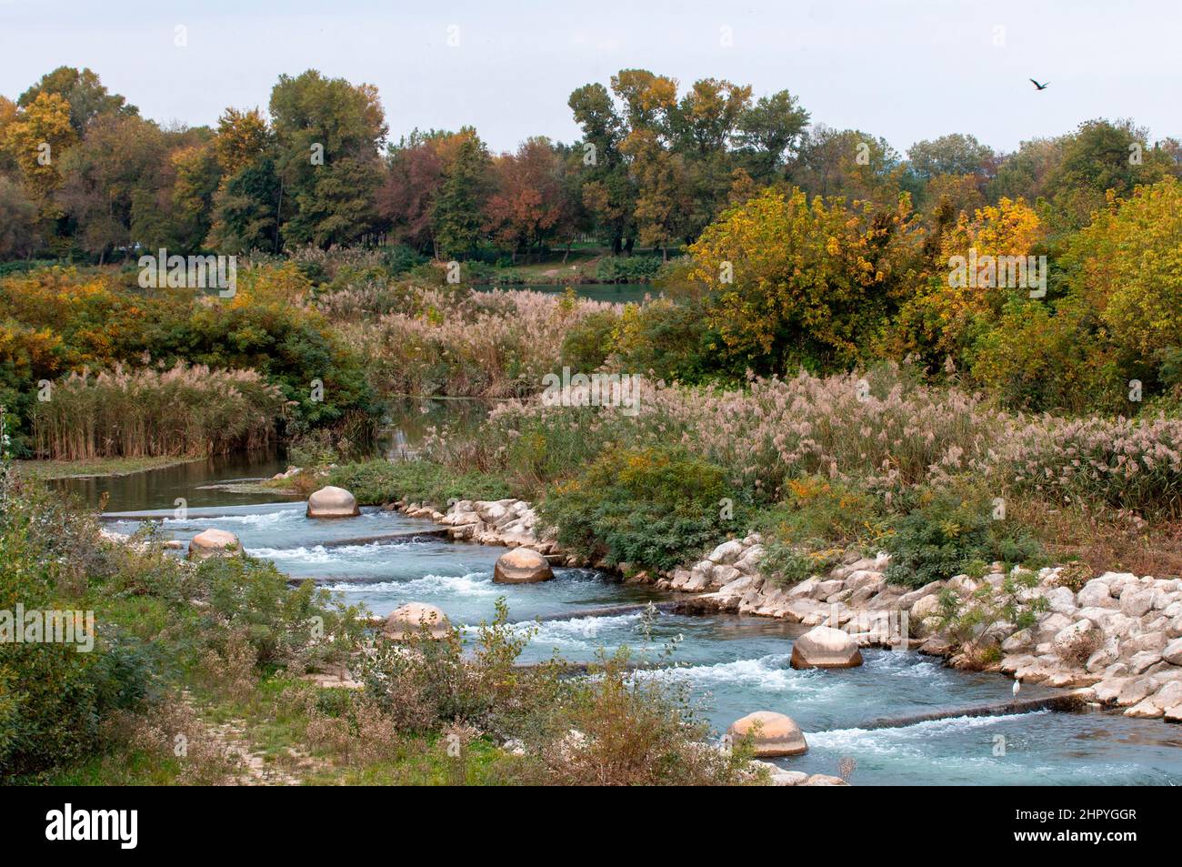 Fish ladder at the confluence of the Rhone and Gardon rivers, Gard ...