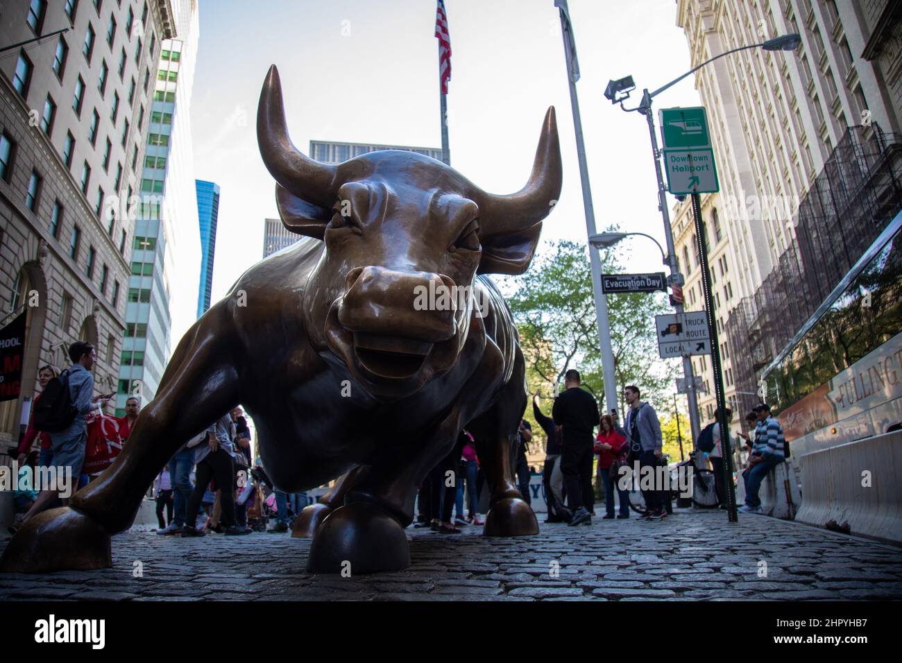 Closeup shot of the raging bull statue in the street. New York, USA ...