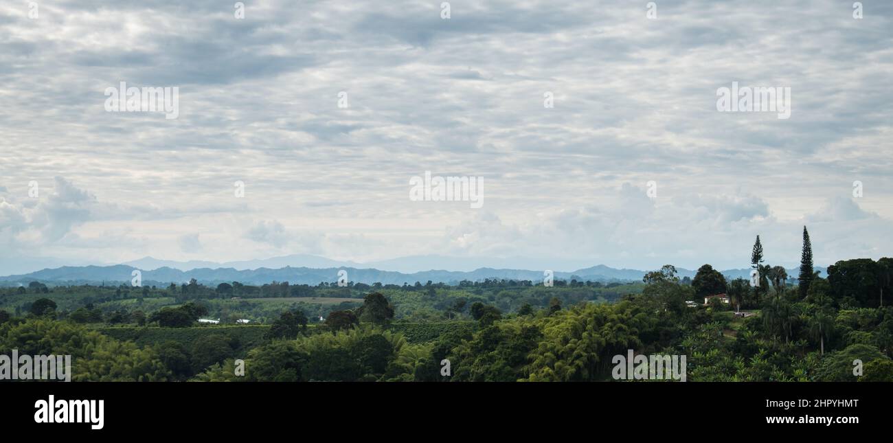 Mountainous rural area with growing trees Stock Photo - Alamy