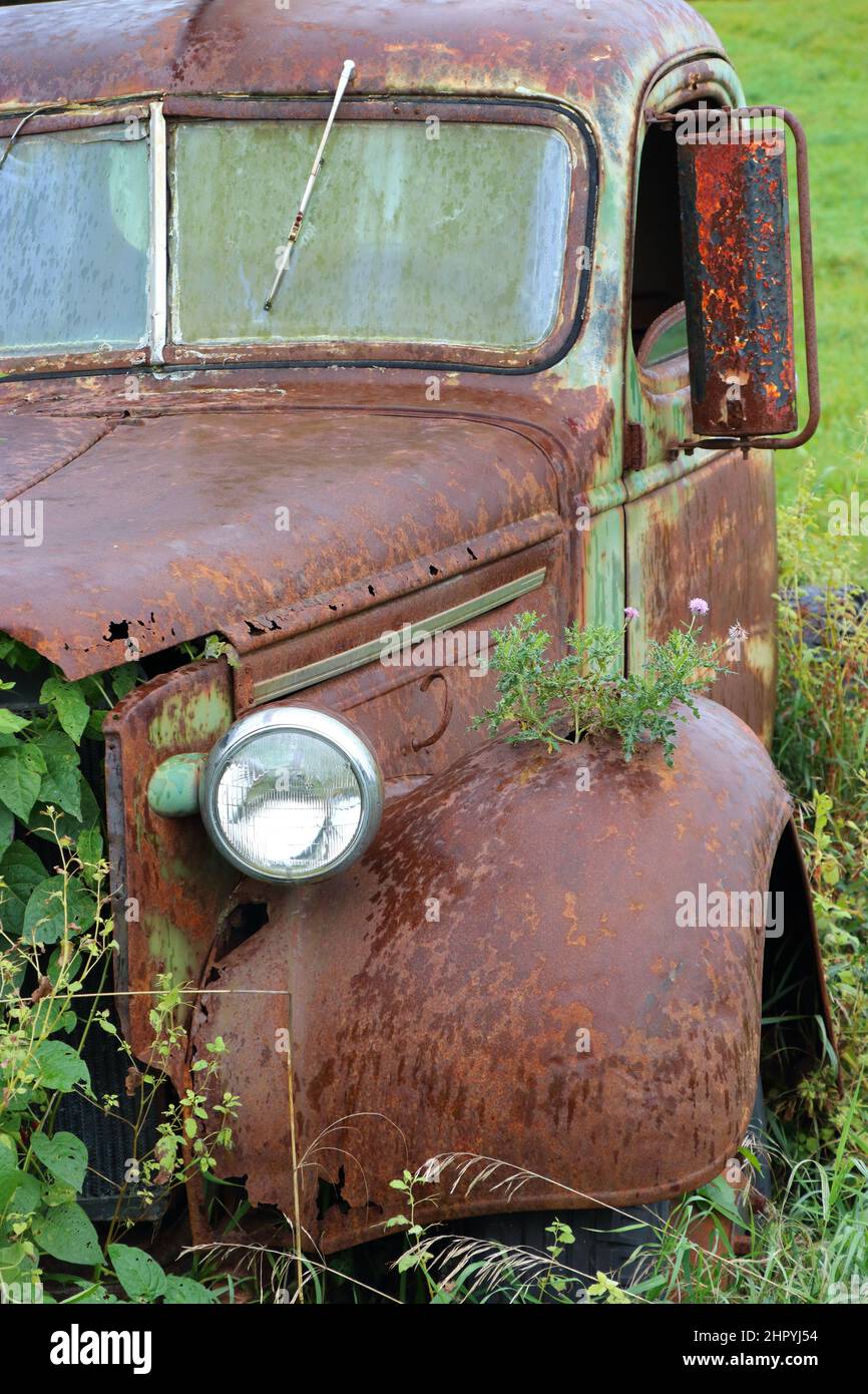 Front view of an old rusty vintage abandoned antique truck in the field ...