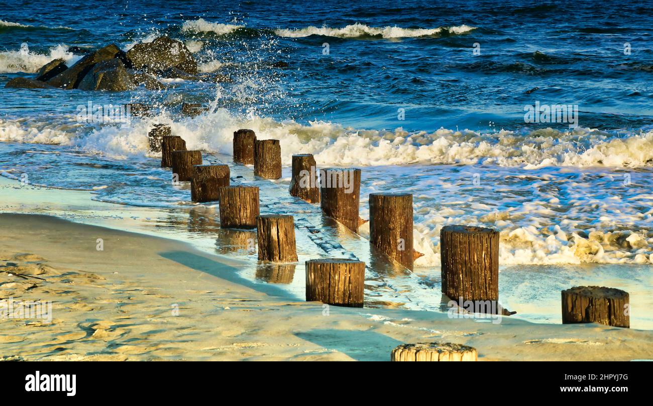 Rows of wooden poles on the beach Stock Photo - Alamy