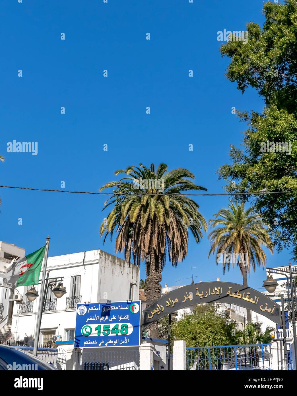 Algerian flag hi-res stock photography and images - Alamy