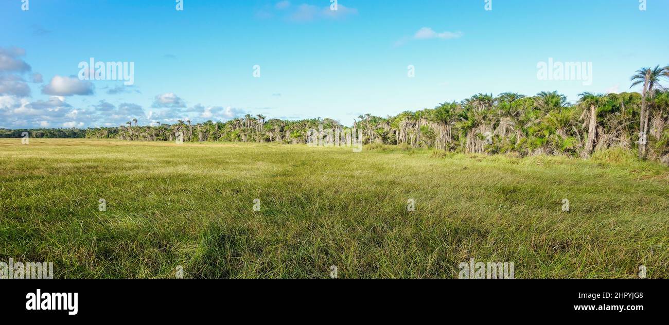 Scenic view of green landscape field against a blue sky background ...