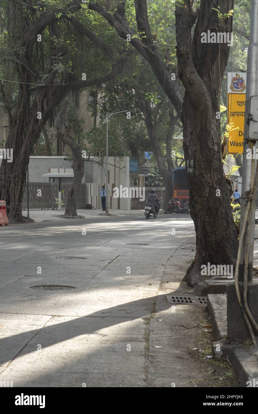 Maharashtra trees hi-res stock photography and images - Alamy