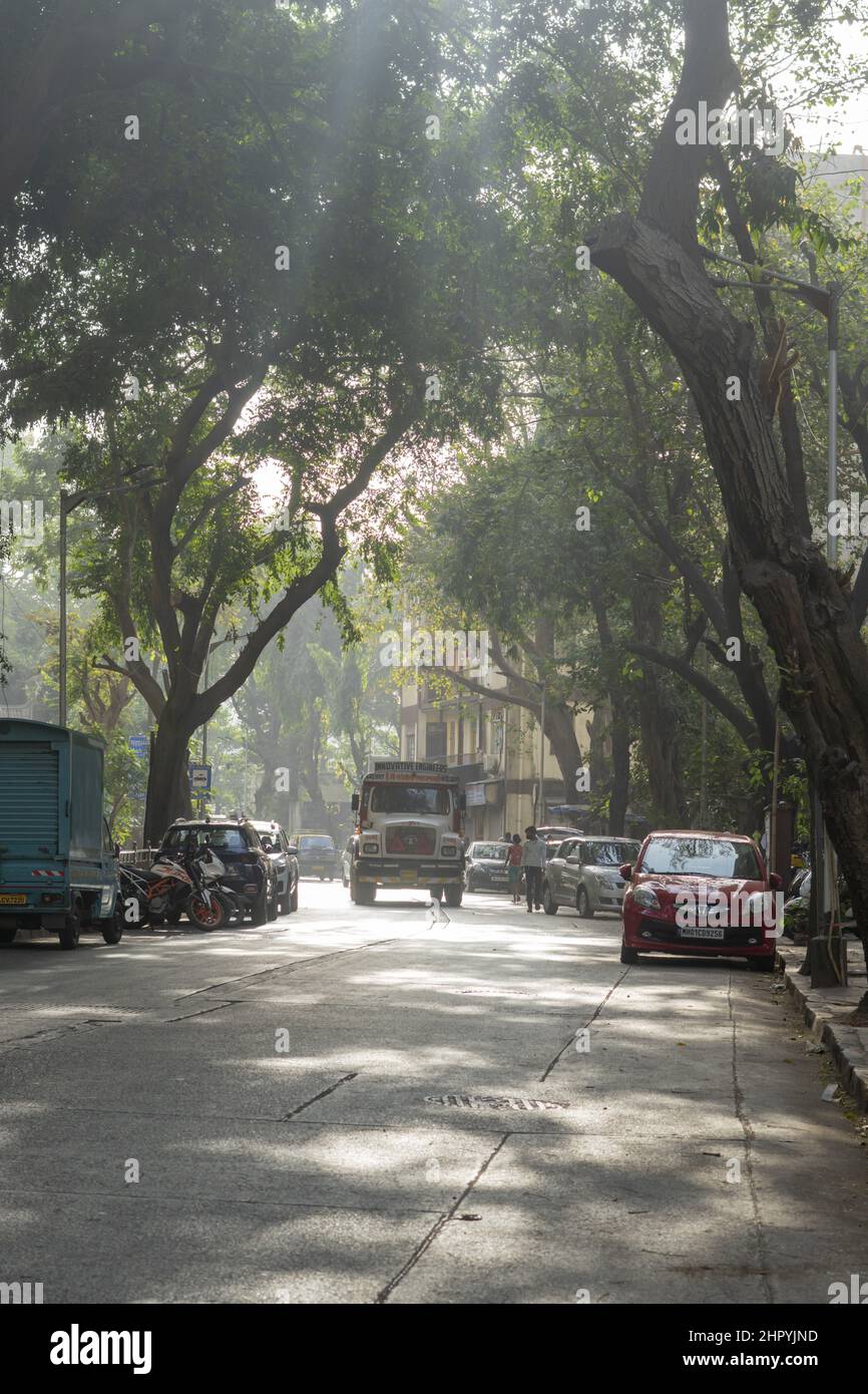 Vertical shot of cars on the road surrounded by trees. Dadar, Mumbai ...