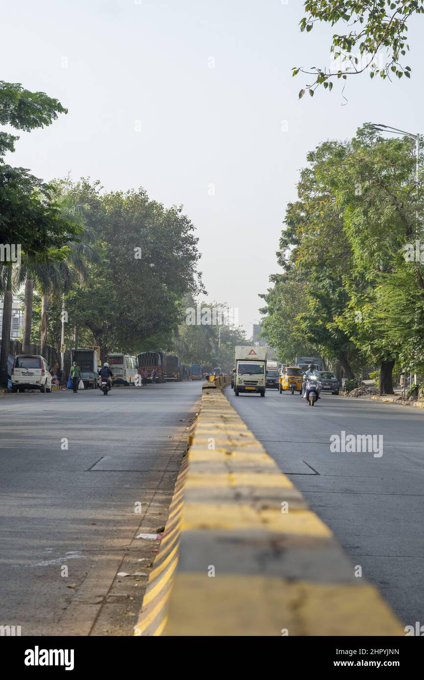 Vertical shot of cars on the road surrounded by trees. Dadar, Mumbai ...