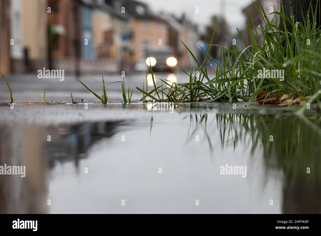 Ground level shot of a puddle with lush grass Stock Photo - Alamy