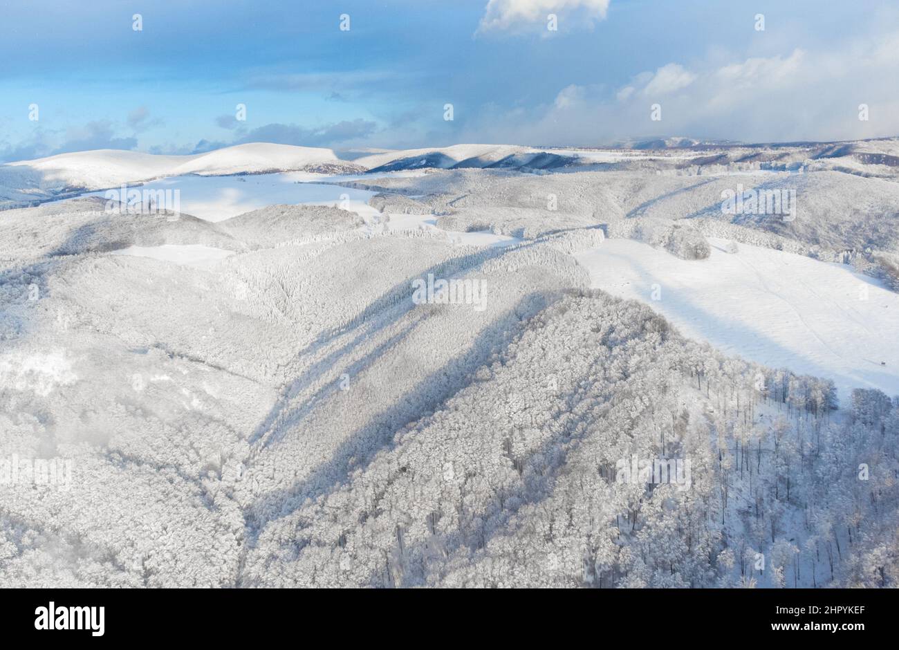 Aerial view of a deciduous forest covered with snow Stock Photo - Alamy