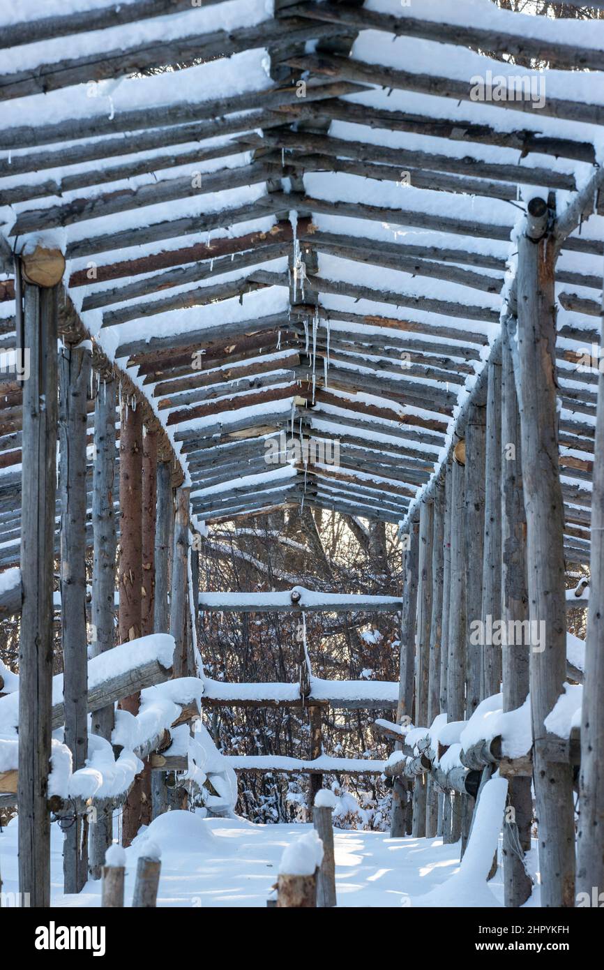 Skeleton of an abandoned barn covered in snow on a cold winter day ...