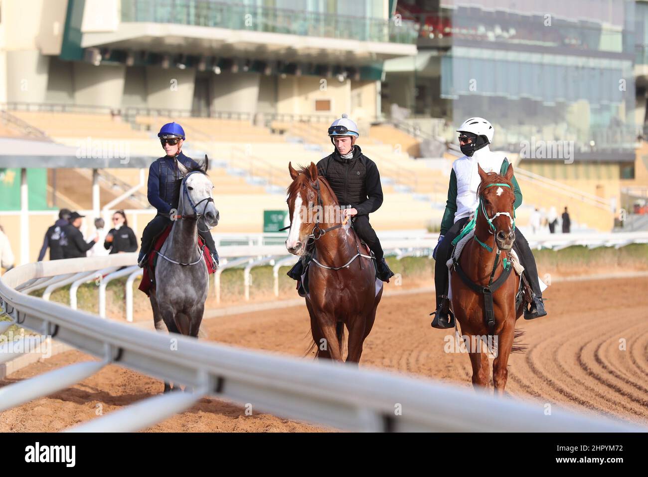 Saudi princess horse hi-res stock photography and images - Alamy