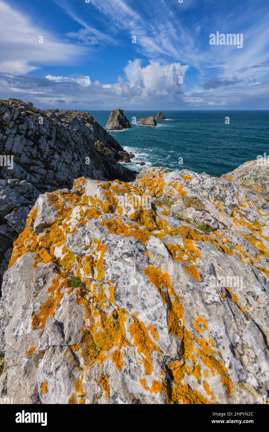 The Pointe de Pen Hir and the Tas de Pois. Caloplaca lichens on ...
