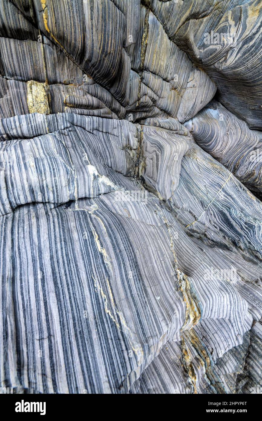 Milliau Island hornfels. Very old metamorphic rocks, dating from the ...