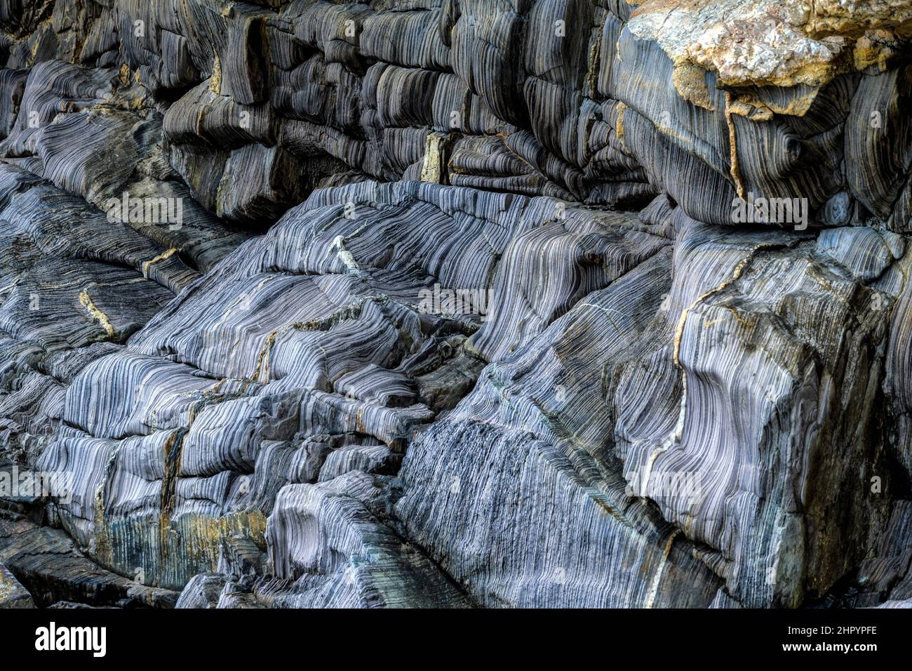 Milliau Island hornfels. Very old metamorphic rocks, dating from the ...