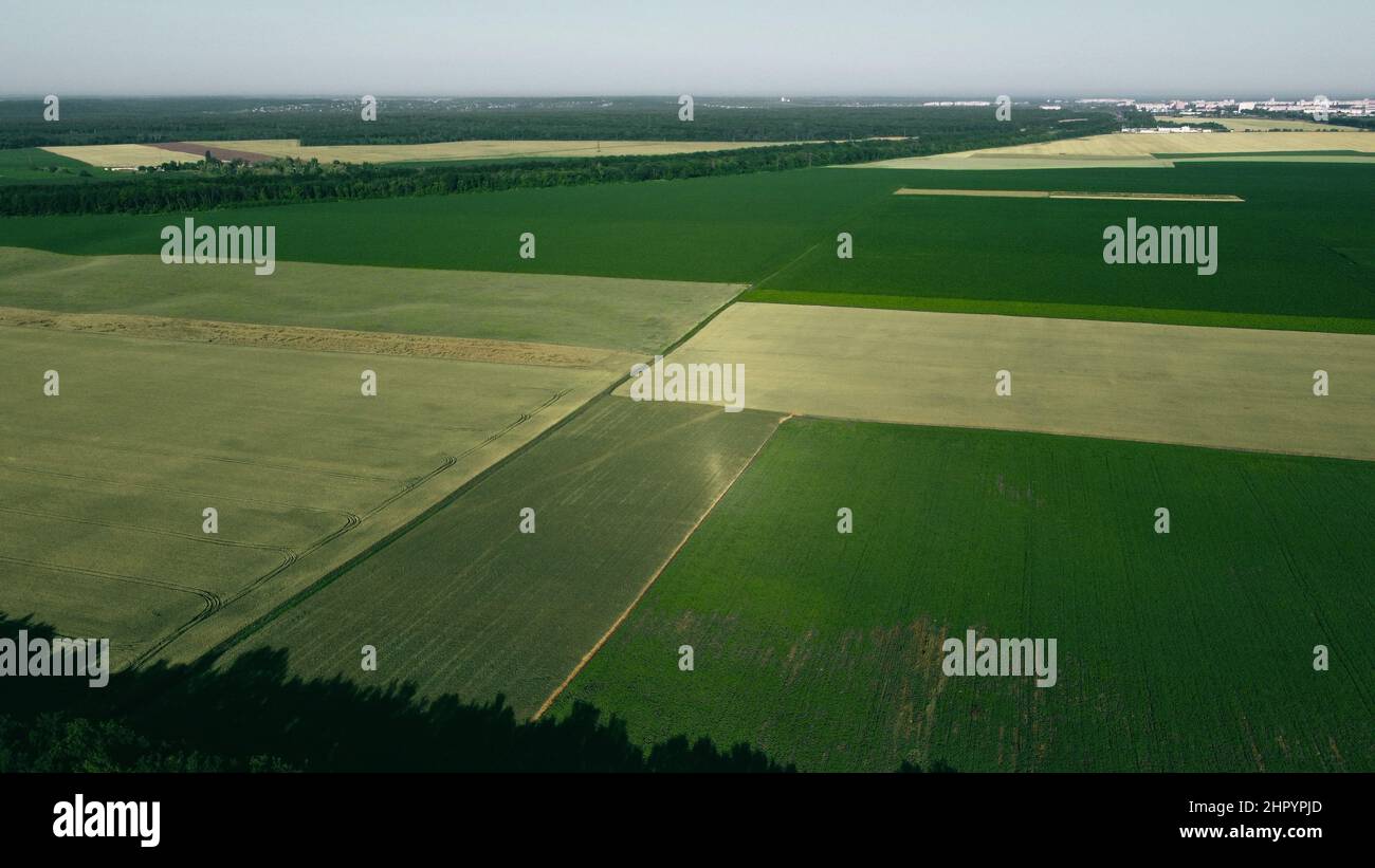 Drone shot above fields wheat hi-res stock photography and images - Alamy