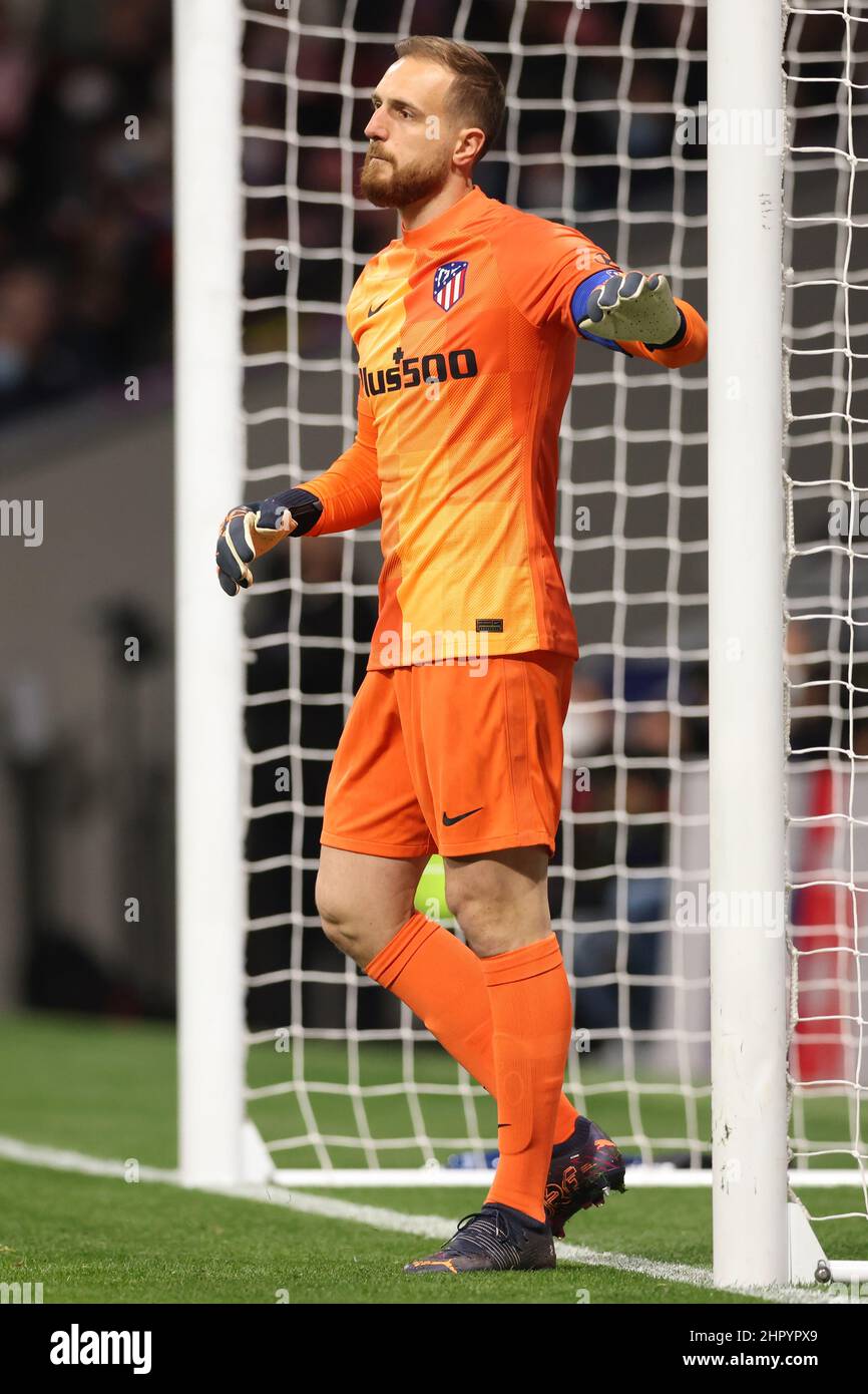 Jan oblak 2022 hi-res stock photography and images - Alamy