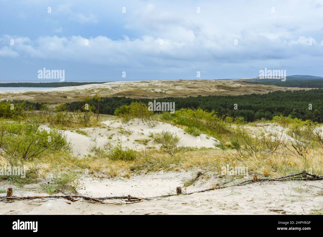 Dunes sandy beach lithuania hi-res stock photography and images - Alamy