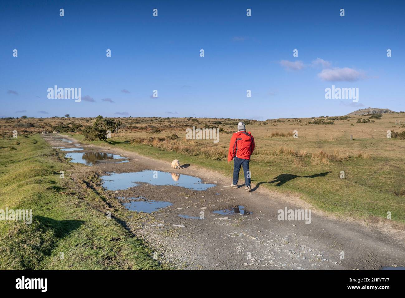 A man and his dog walking along a rough path on Bodmin Moor in Cornwall ...