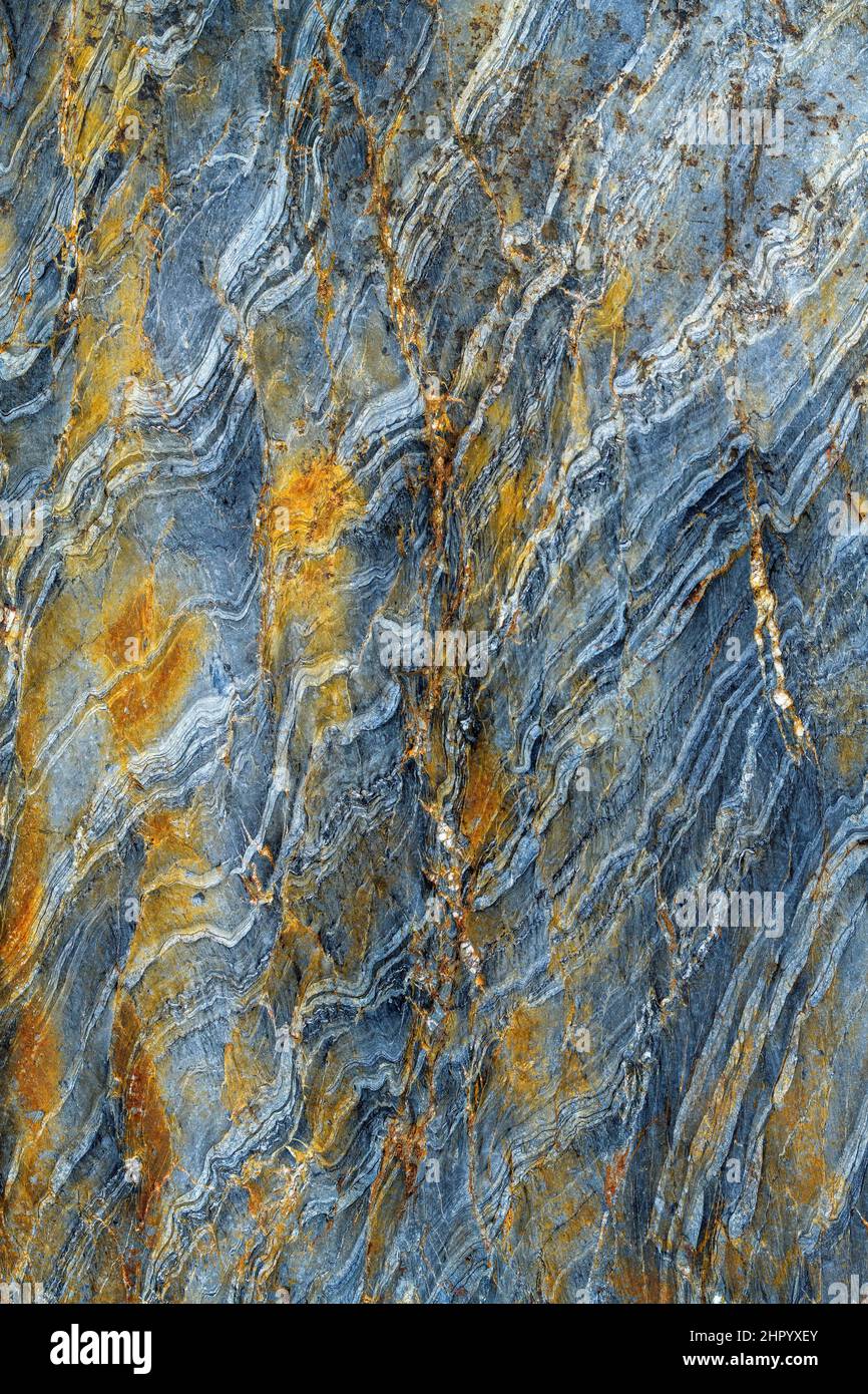 Graphics in grey-blue shales from the Brioverian period in Brittany ...