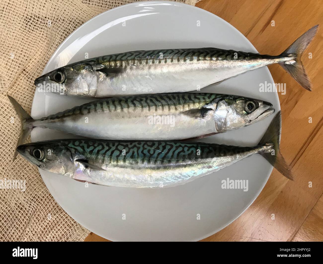Mackerel fresh fish plate hi-res stock photography and images - Alamy