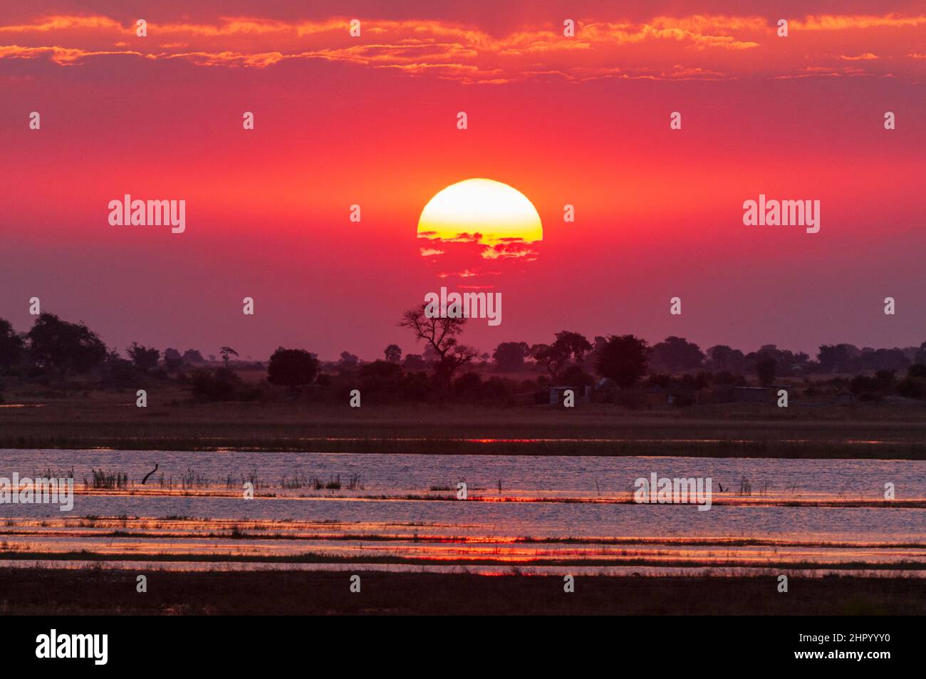 A colorful sunset along the banks of the Chobe River. Chobe River ...