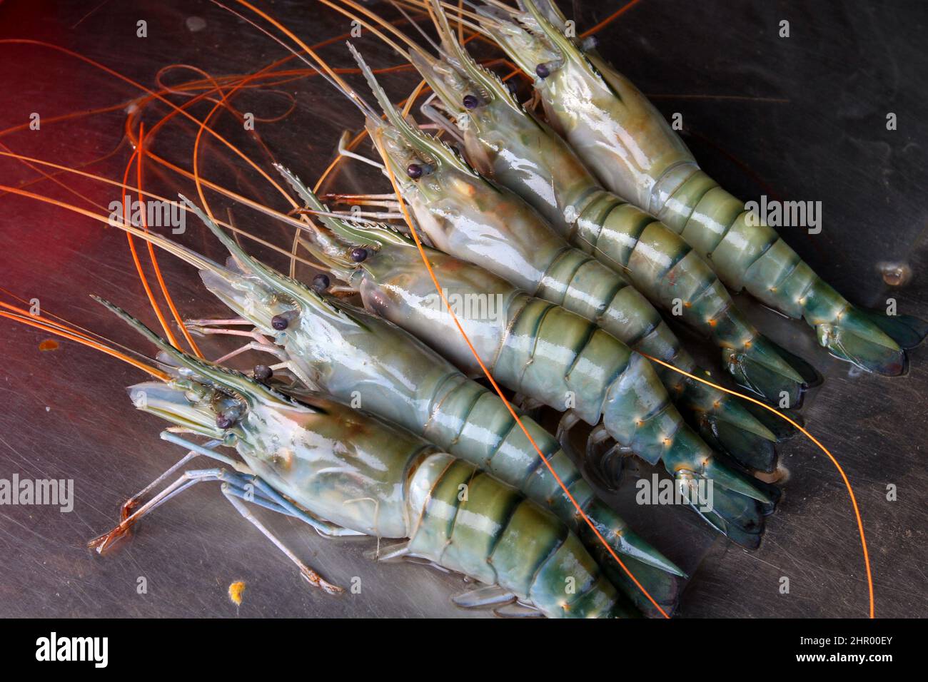 Khulna, Bangladesh - January 09, 2015: Lobster fish at Paikgacha in ...