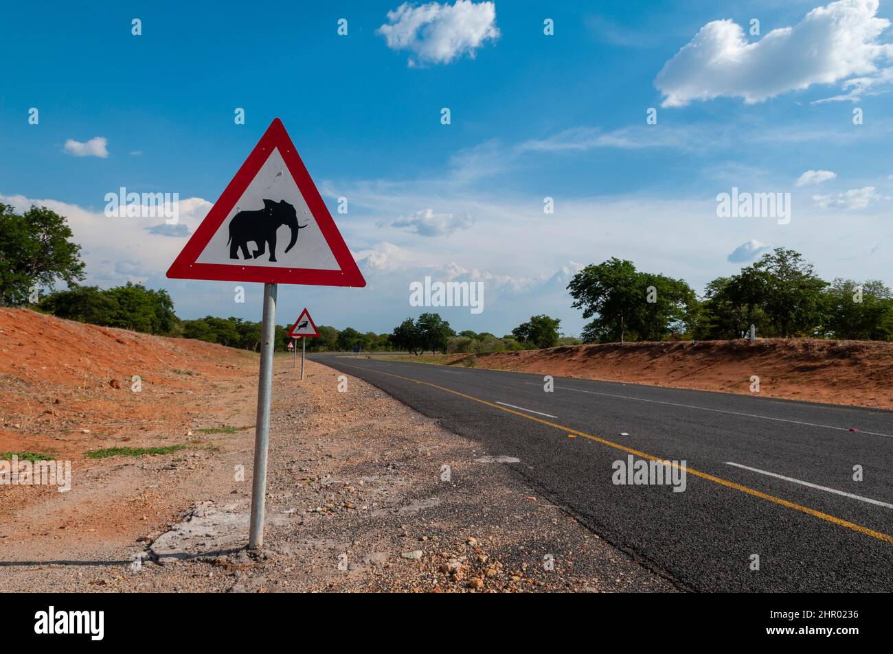 A traffic warning sign designating an African elephant crossing, on the ...