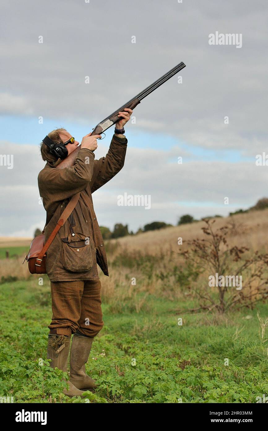 Male partridge hi-res stock photography and images - Alamy