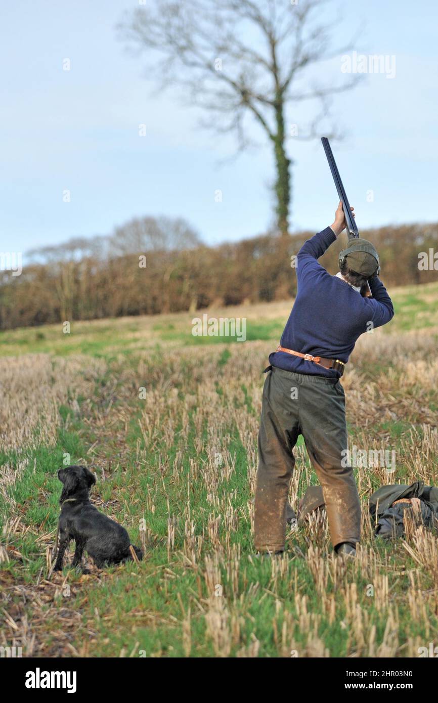 Back view man gun hi-res stock photography and images - Alamy