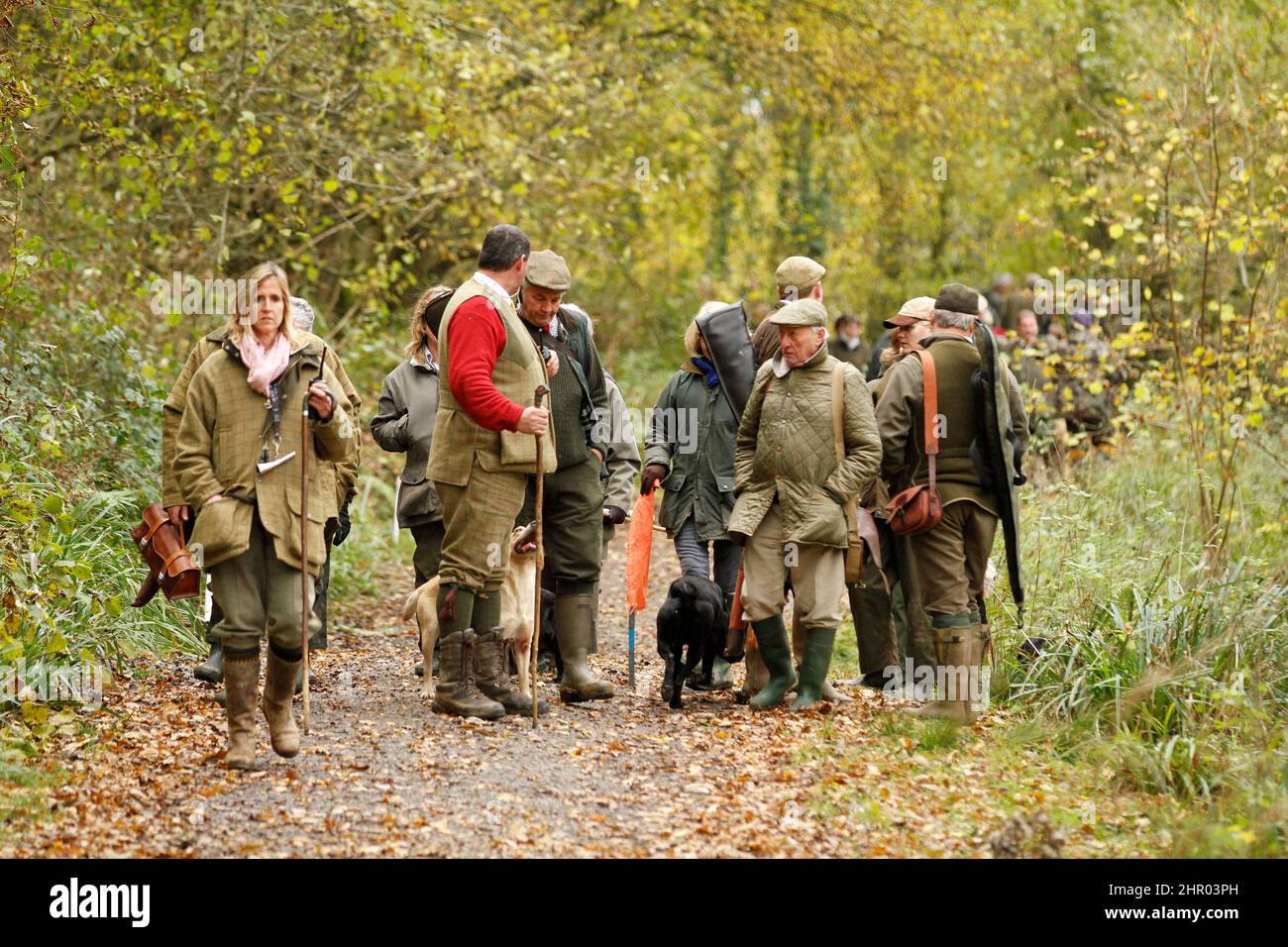 Hunters woods hi-res stock photography and images - Alamy