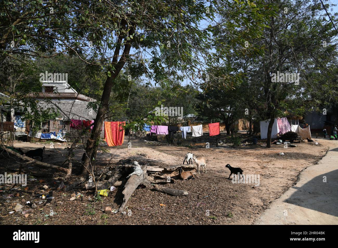 Pearson Pally. The Santali tribal hamlet at Visva-Bharati. Santiniketan ...