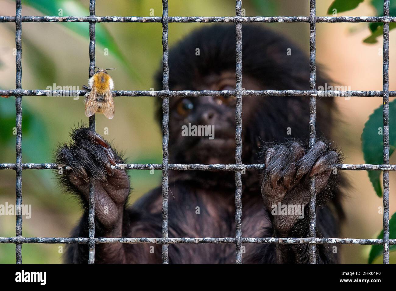 Observing portraits hi-res stock photography and images - Alamy