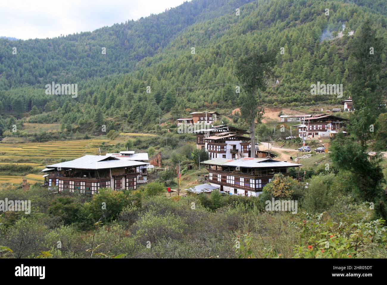 village (drukgyal) closed to paro in bhutan Stock Photo - Alamy