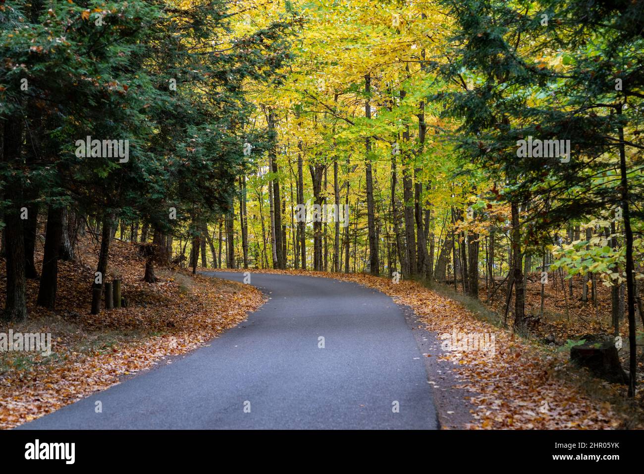 Fall foliage on the trees in Presque Isle Park road in Marquette ...
