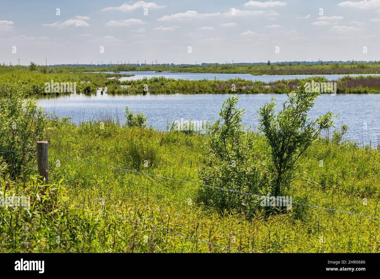 Hoeksche waard hi-res stock photography and images - Alamy