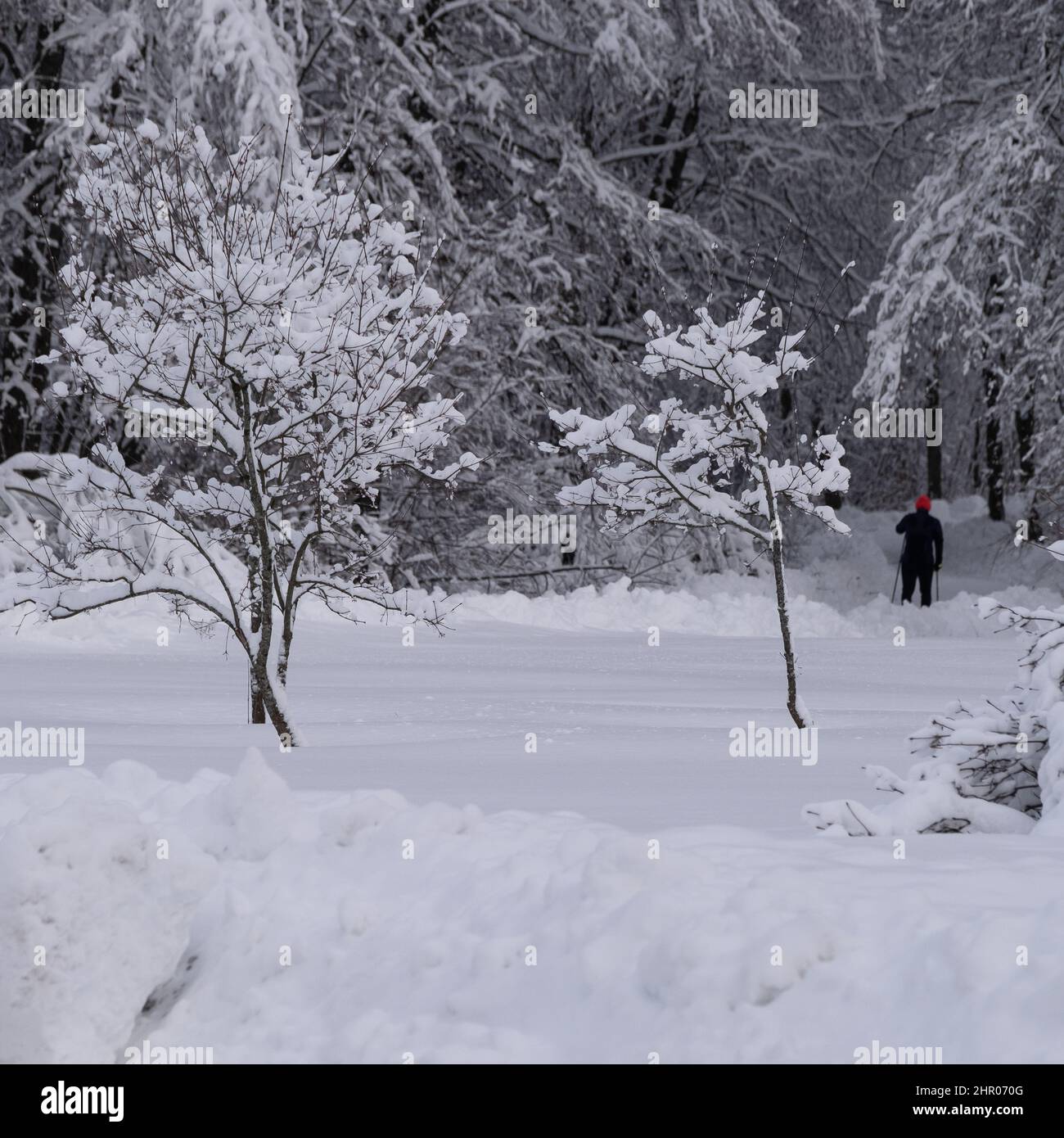 Helsinki / Finland - FEBRUARY 24, 2022: Snow-covered roads and parks in ...