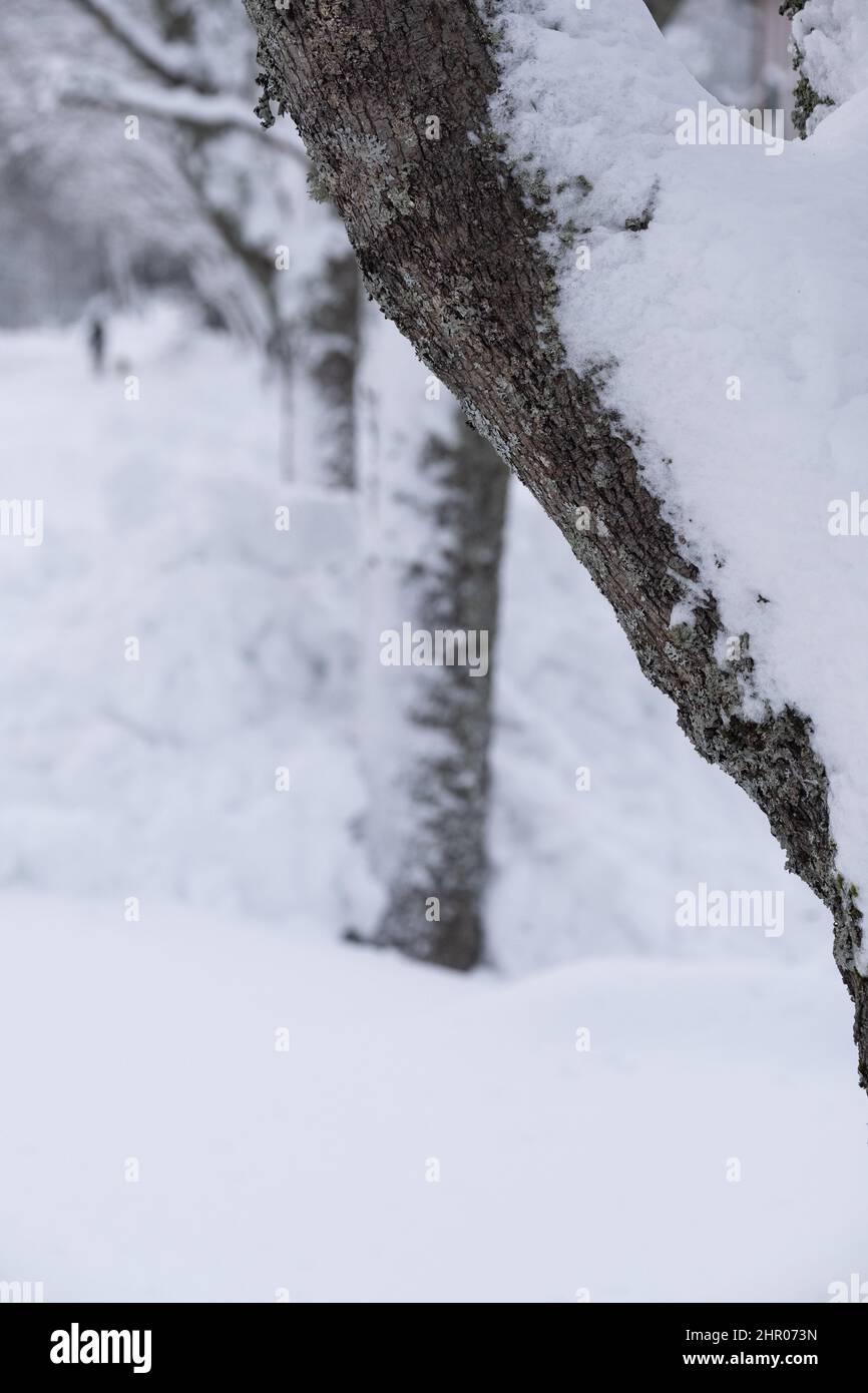 Helsinki / Finland - FEBRUARY 24, 2022: Snow-covered roads and parks in ...
