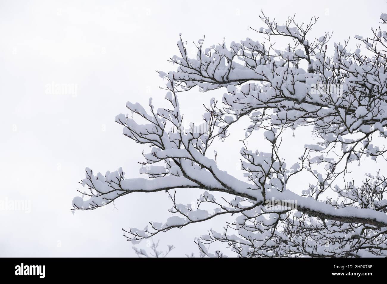 Helsinki / Finland - FEBRUARY 24, 2022: Snow-covered roads and parks in ...