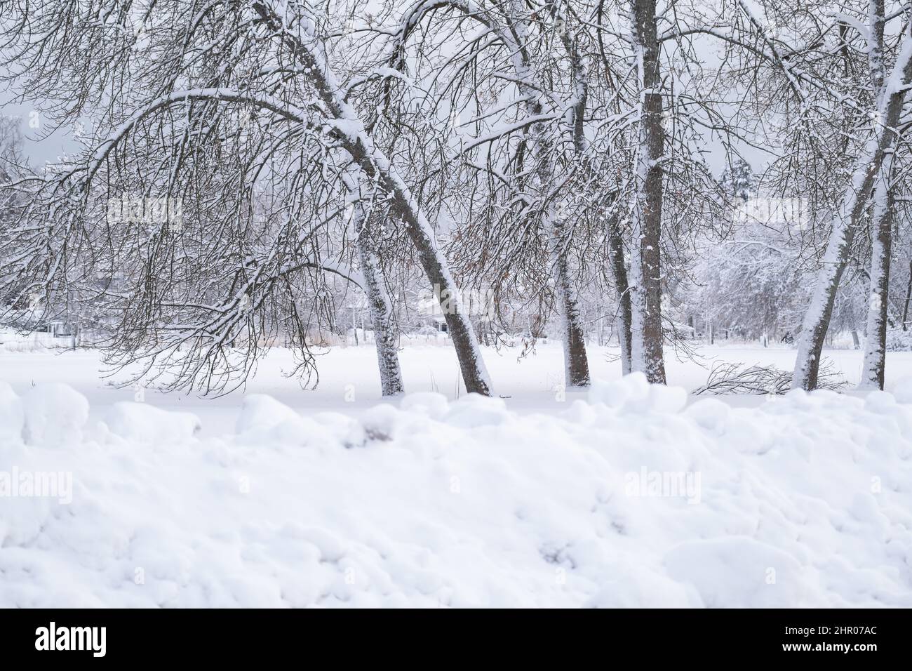 Helsinki / Finland - FEBRUARY 24, 2022: Snow-covered roads and parks in ...