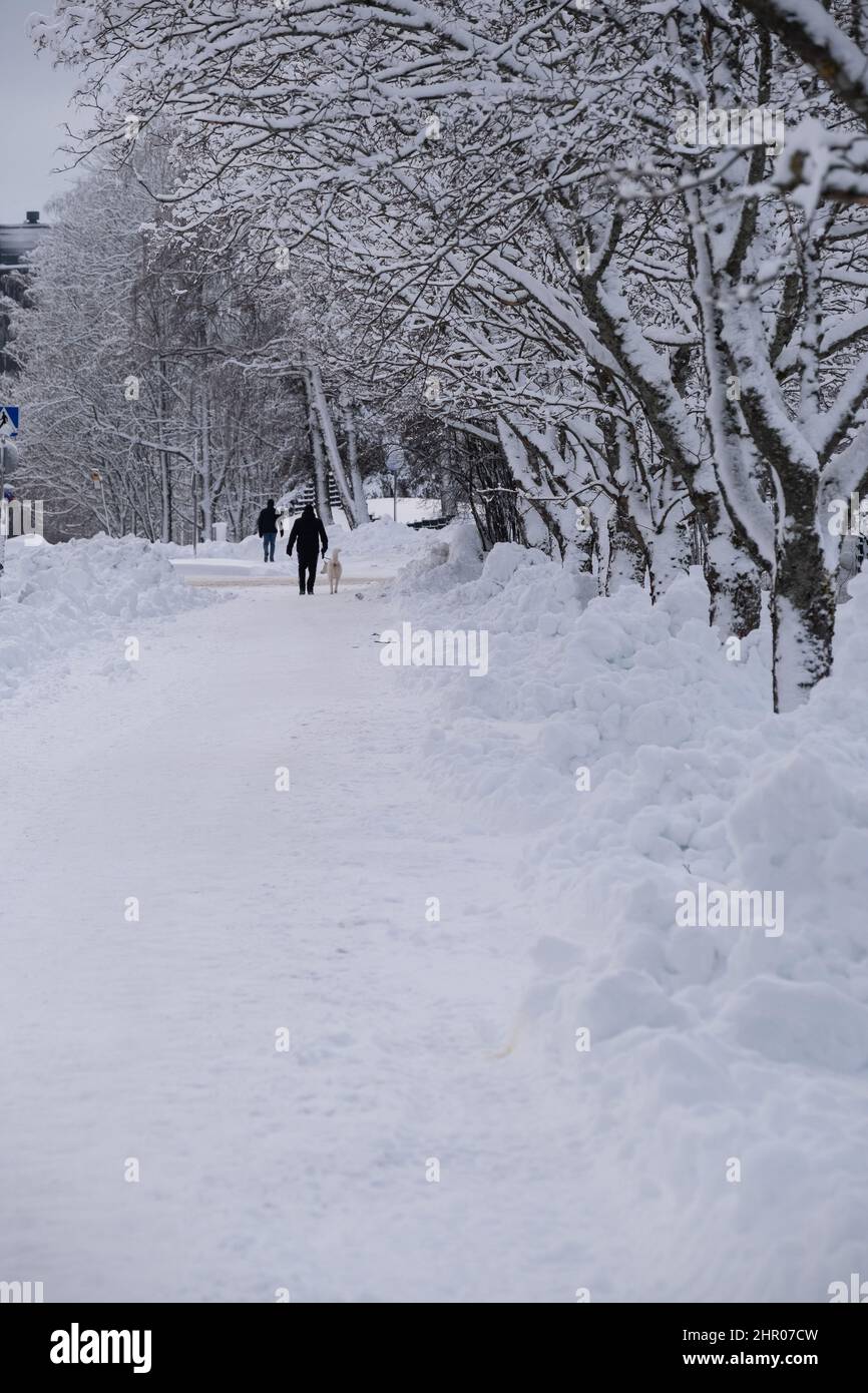 Helsinki / Finland - FEBRUARY 24, 2022: Snow-covered roads and parks in ...