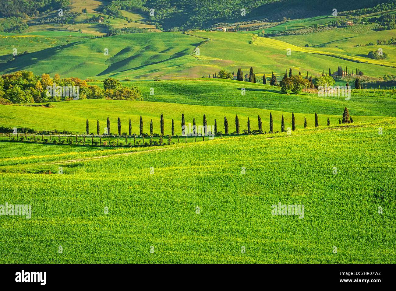 Landscape in Val d'Orcia valley of Tuscany, Italy Stock Photo - Alamy
